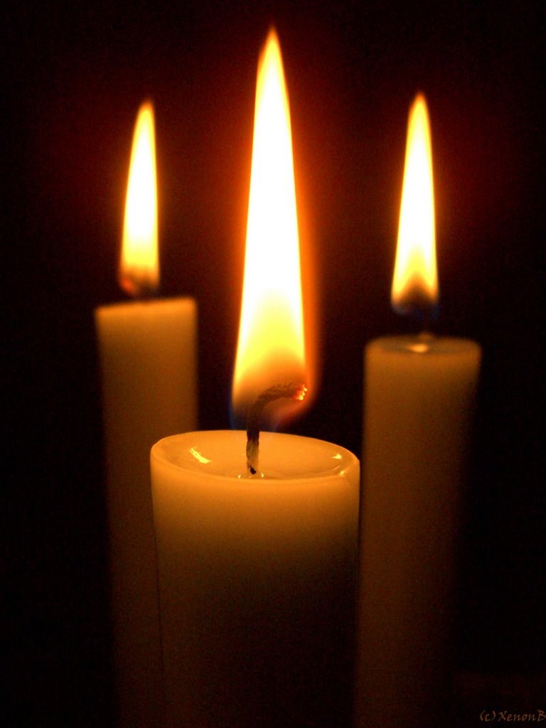 Gary Poulsen Obituary - Fresno, CA