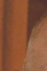 Donald Williams Obituary - Mason, MI Donald Williams Obituary - Mason, MI