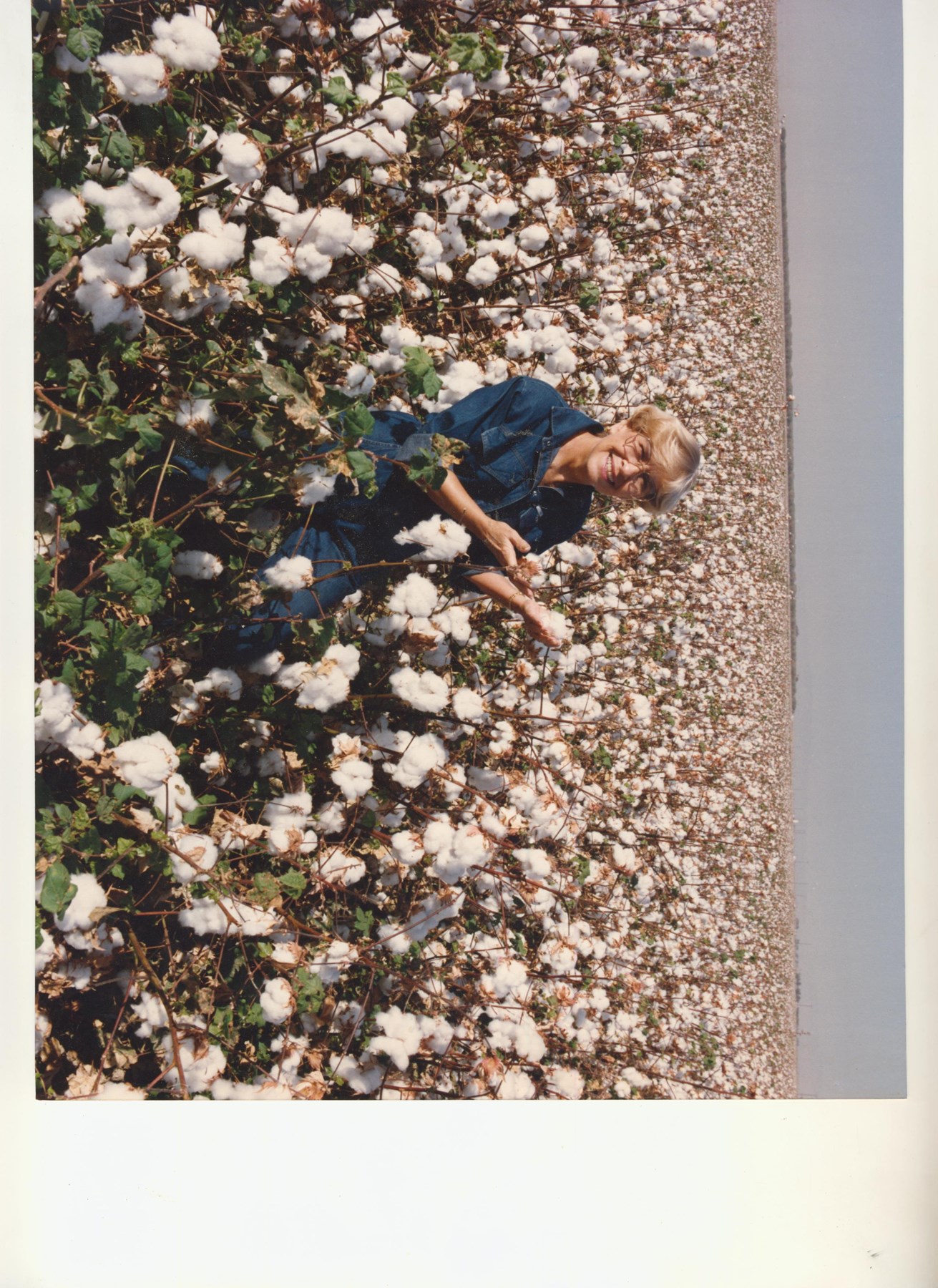 Barbara Jean Murphy Attebery Obituary - Hanford, CA