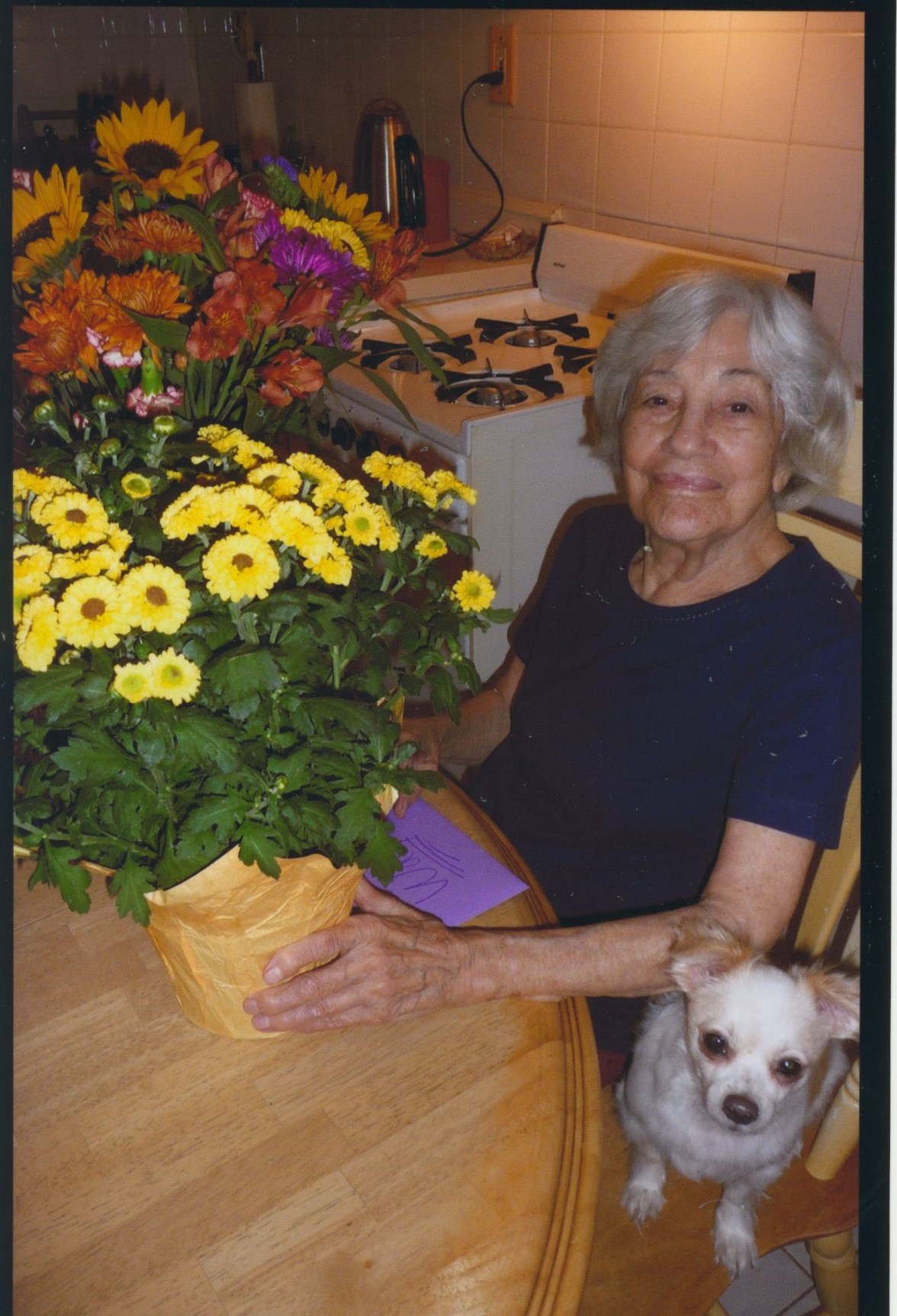 Maria L. Castagna Obituary - Union, NJ