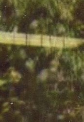 Charlene Thompson Obituary - Omaha, NE Charlene Thompson Obituary - Omaha, NE