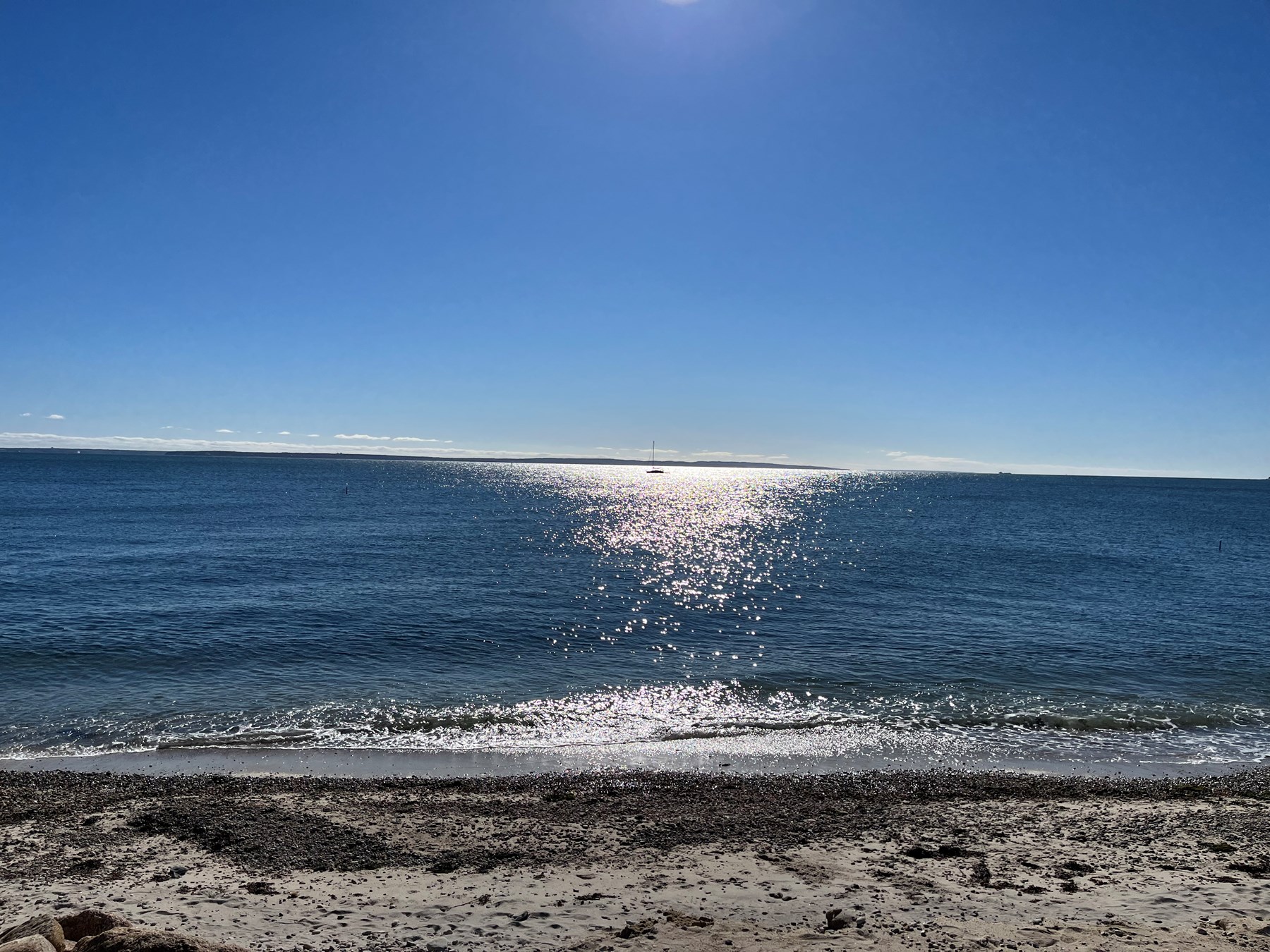 Erika Meyer Obituary - Whiting, NJ