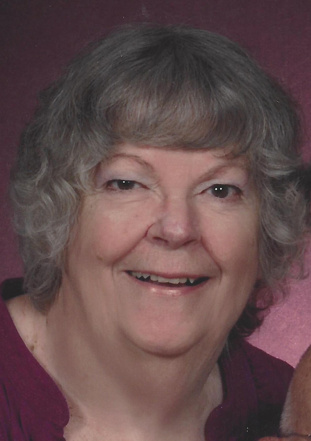 Joyce Schellhammer Obituary - Mason, MI