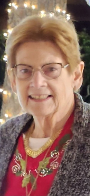 Suzanne Duncan Obituary - Palm Harbor, FL