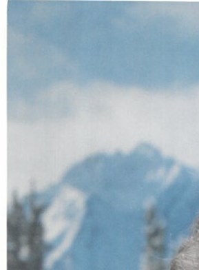 Elizabeth M. Kolodziej Obituary - Secaucus, NJ Elizabeth M. Kolodziej Obituary - Secaucus, NJ