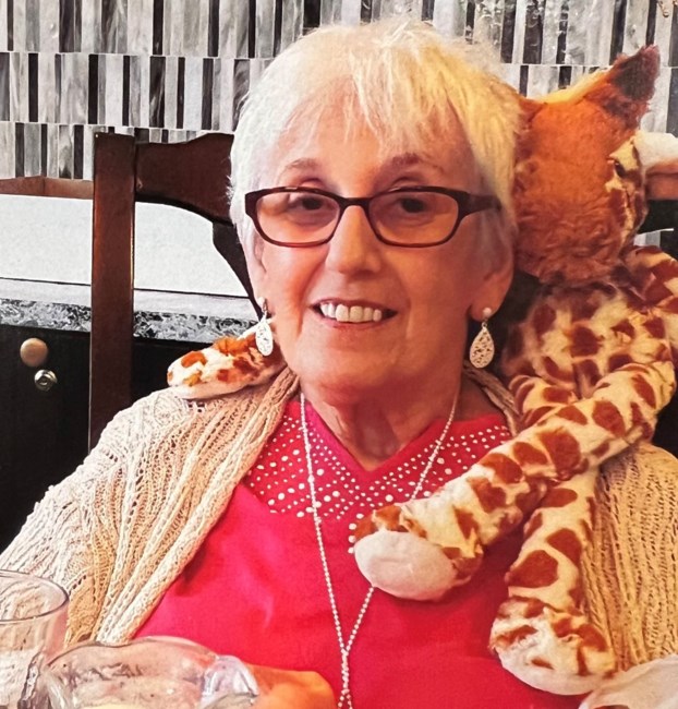 Lois Loomstein Obituary - St. Louis, MO