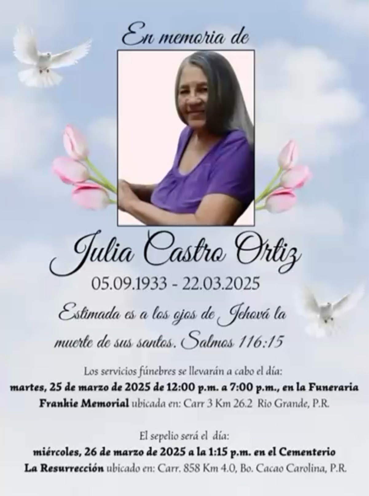 Julia Castro Ortiz Obituary - Carolina, PR