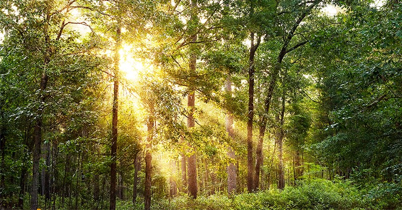 Peter Knerr Obituary - Reading, PA