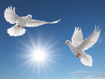 Eleanor Bassett Obituary - Jacksonville Beach, FL