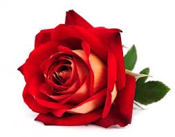 Ty Wagner Obituary - Barstow, CA