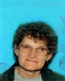 Elizabeth Plechsmid Obituary - Stickney, IL