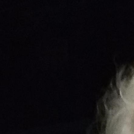 Karen Reed Obituary - Baltimore, MD Karen Reed Obituary - Baltimore, MD
