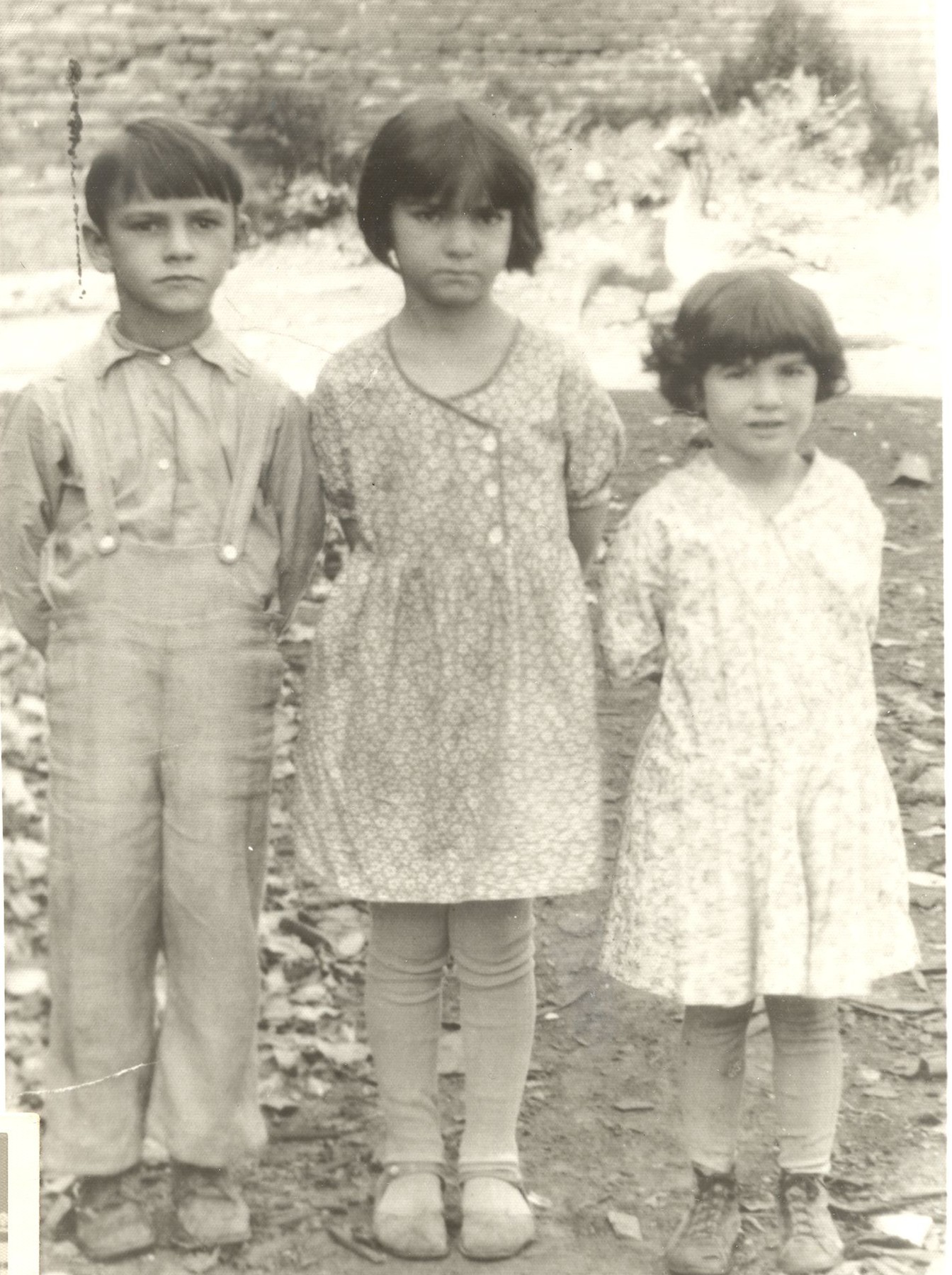 Mary Mulvey's Instagram, Twitter & Facebook on IDCrawl