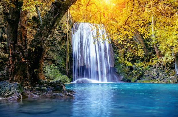 Elizabeth Sanchez Obituary - Fresno, CA