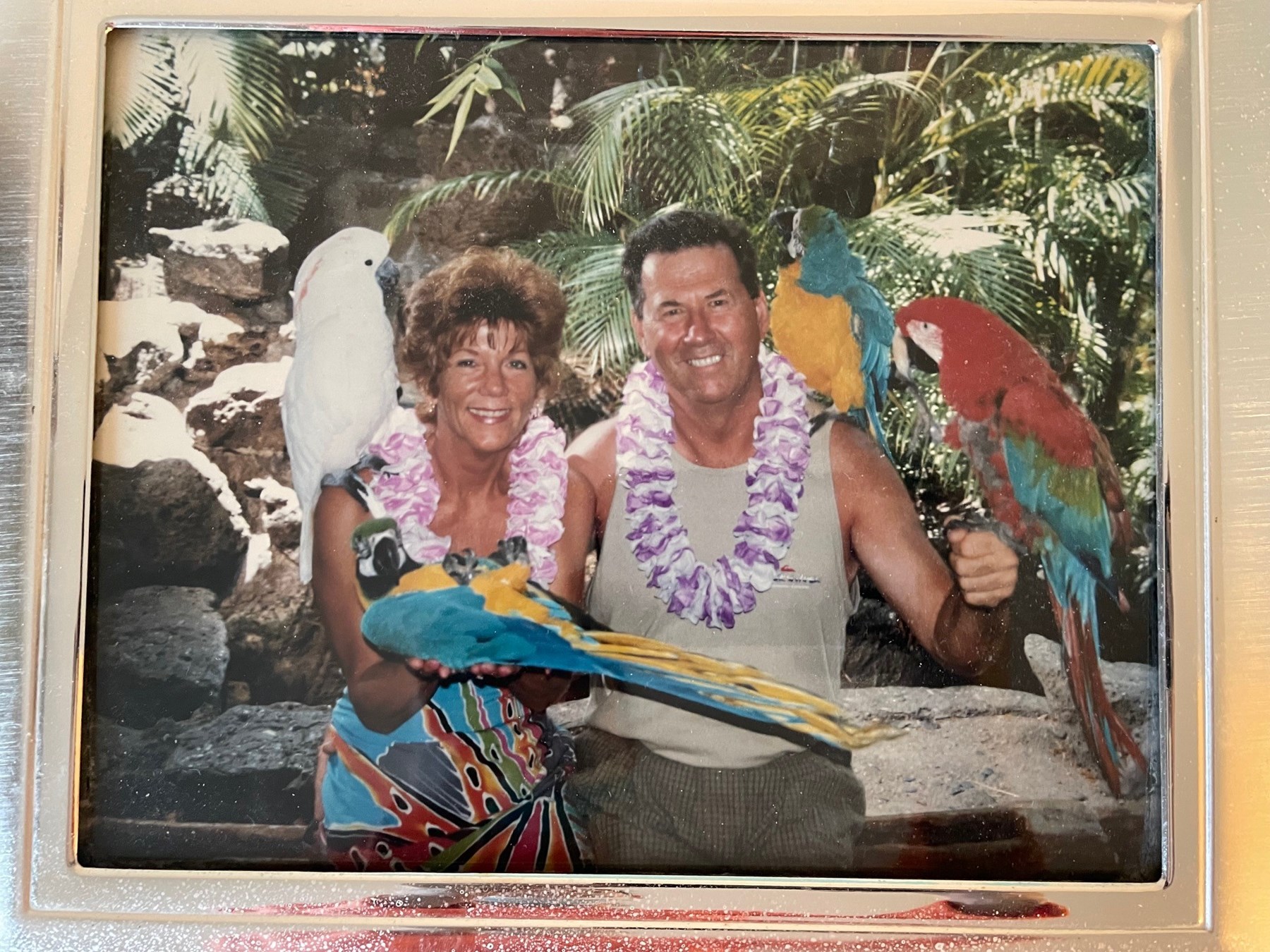 Janet McIntosh Obituary - Castro Valley, CA