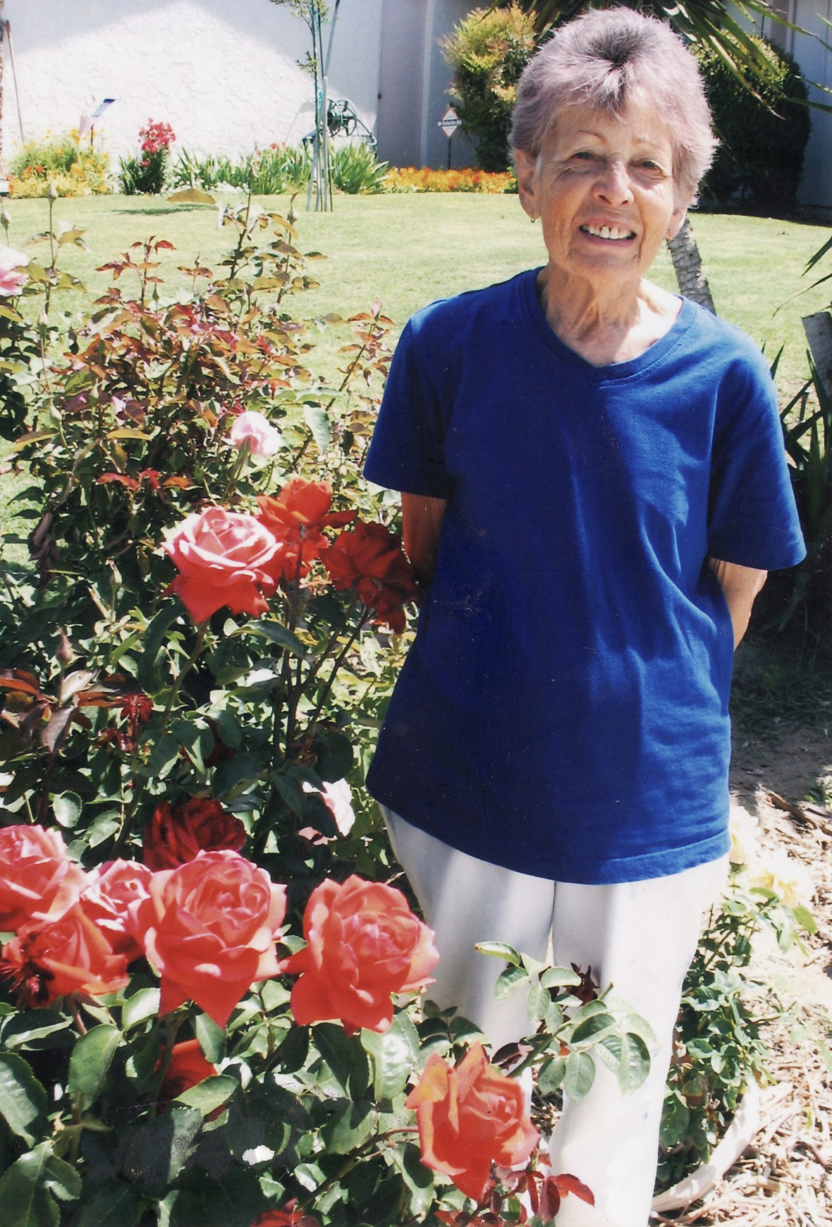 Estela Piceno Obituary - Colton, CA