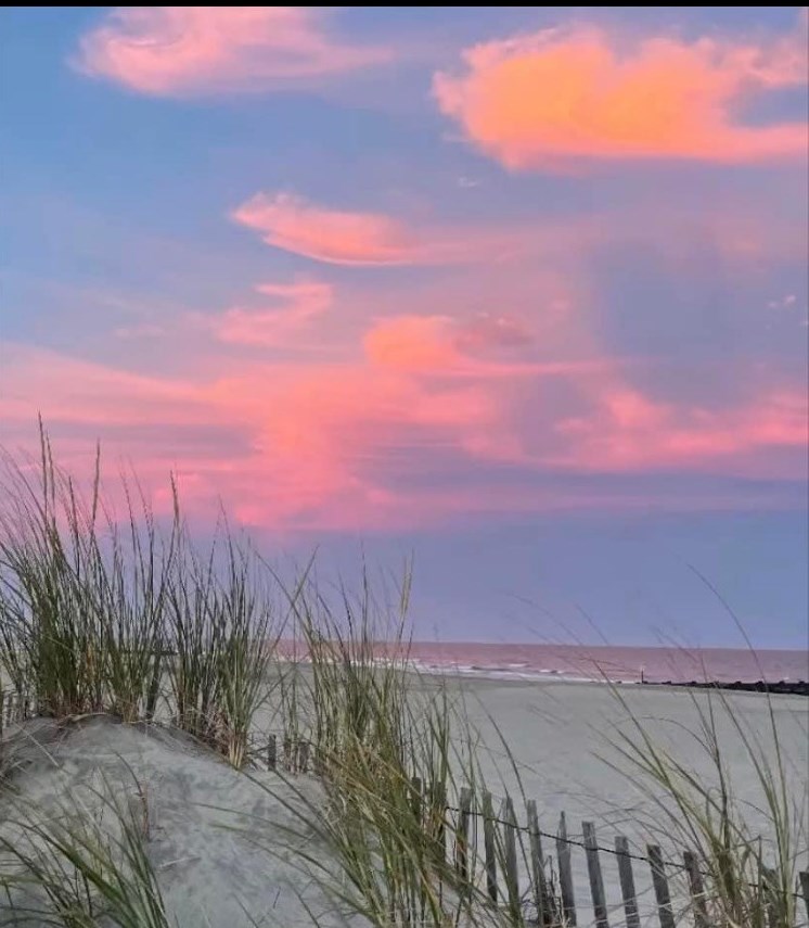 Kelly Herlihy McCourt Obituary - Toms River, NJ