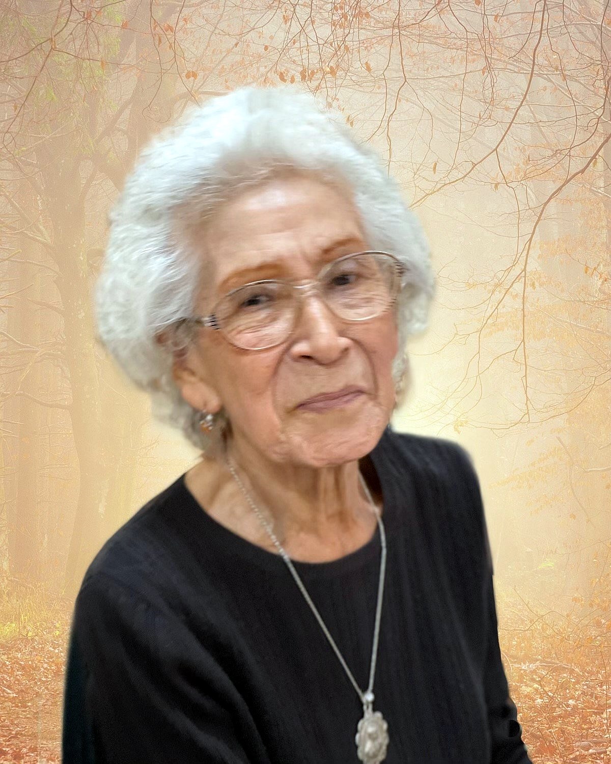 Martha Rodriguez Obituary - Houston, TX