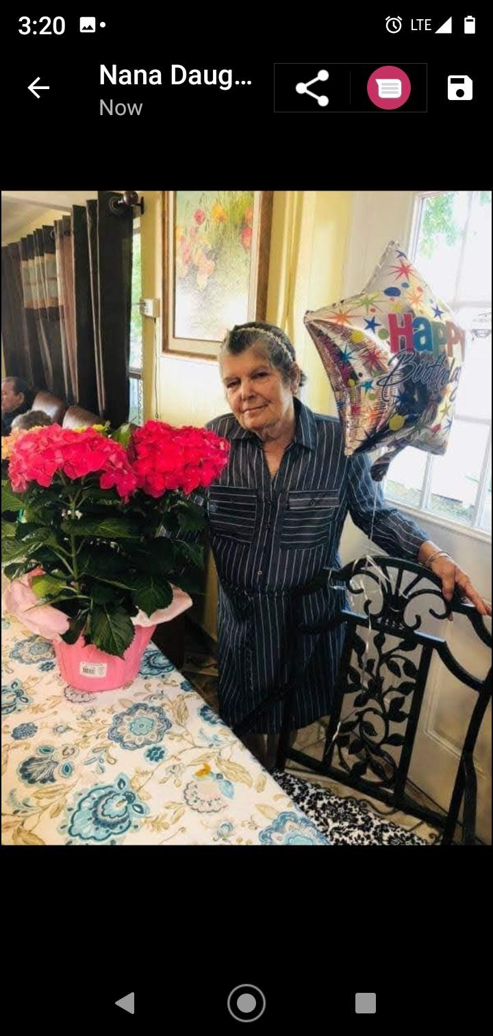 Virginia Perez Rodriguez Obituary - Tampa, FL