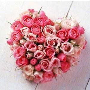 Doris Reese Obituary - Stafford, VA