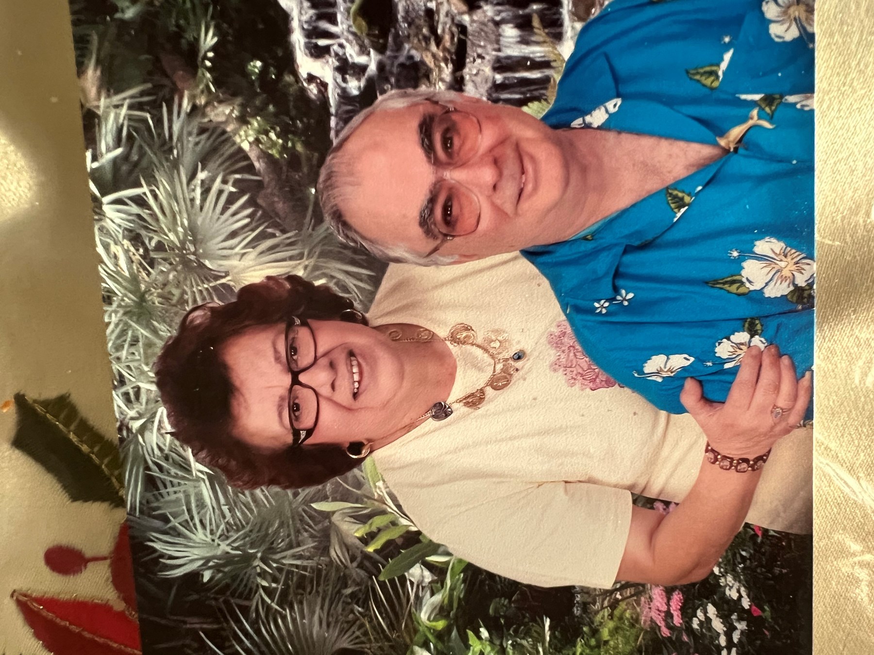 Anne Salomone Obituary - Ormond Beach, FL