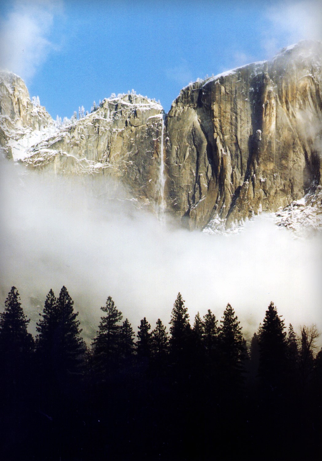 Andrew Stepaniuk Obituary - Edmonton, AB