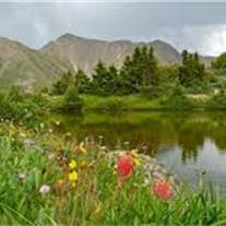 John Thomas Allbritton Obituary - Grand Junction, CO