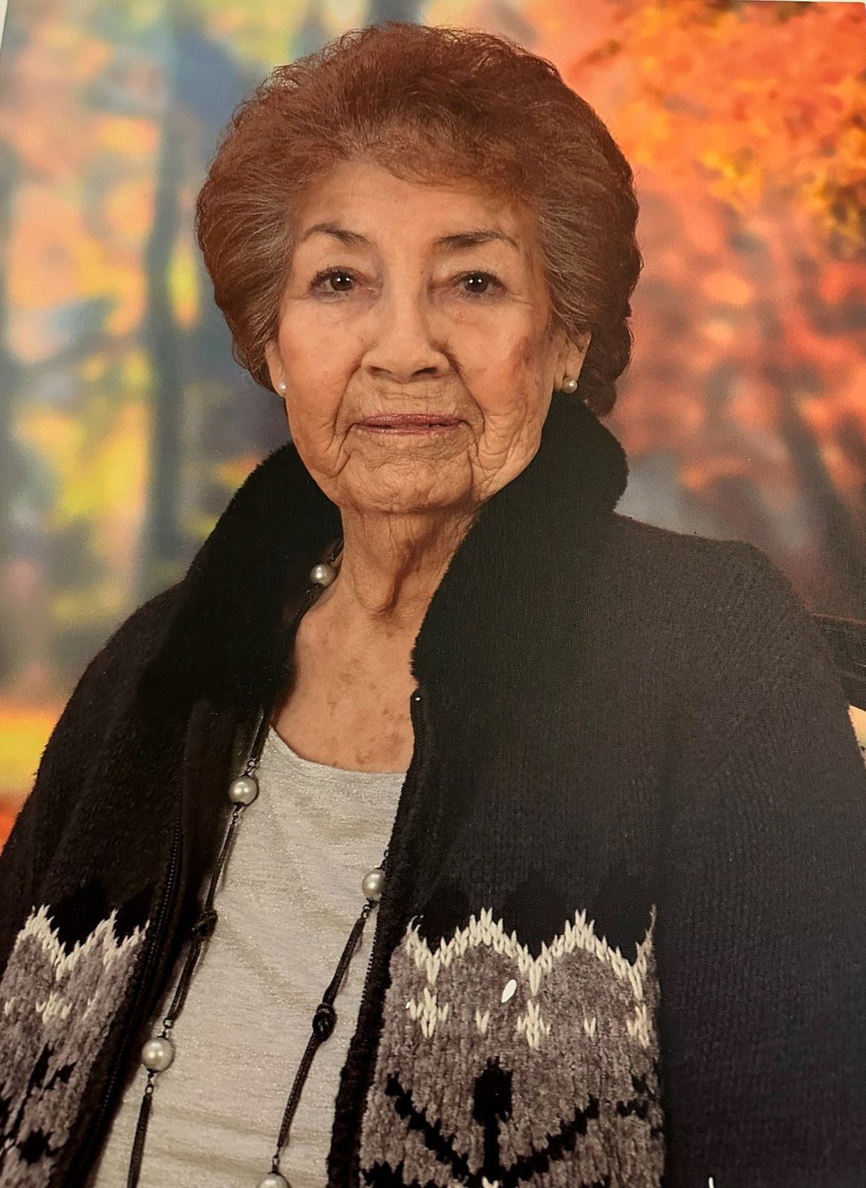 Elvira Sallas Obituary - Phoenix, AZ