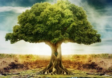 Anthony Spier Obituary - Las Vegas, NV