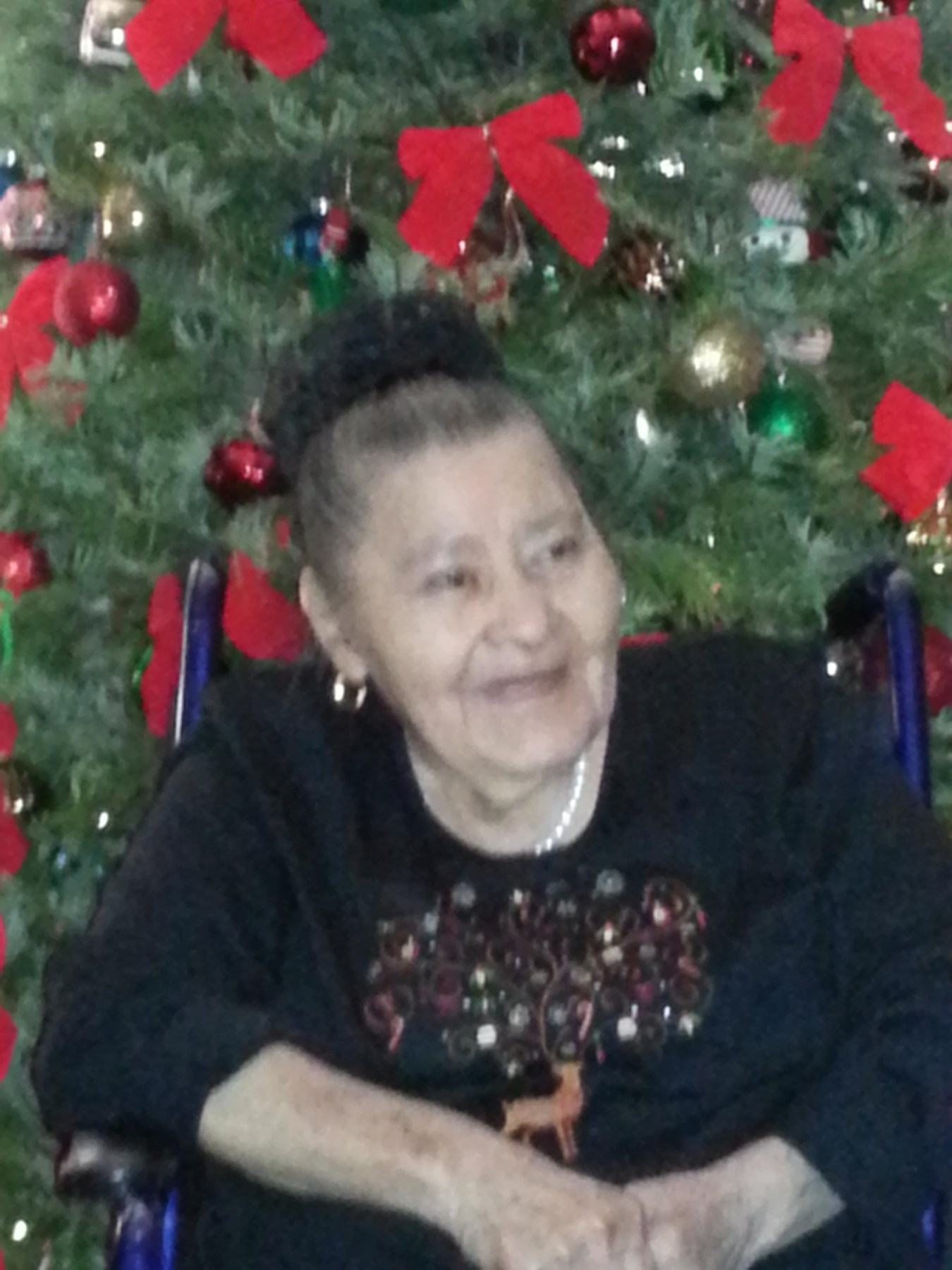 Josephine Rosiles Obituary - Los Angeles, CA