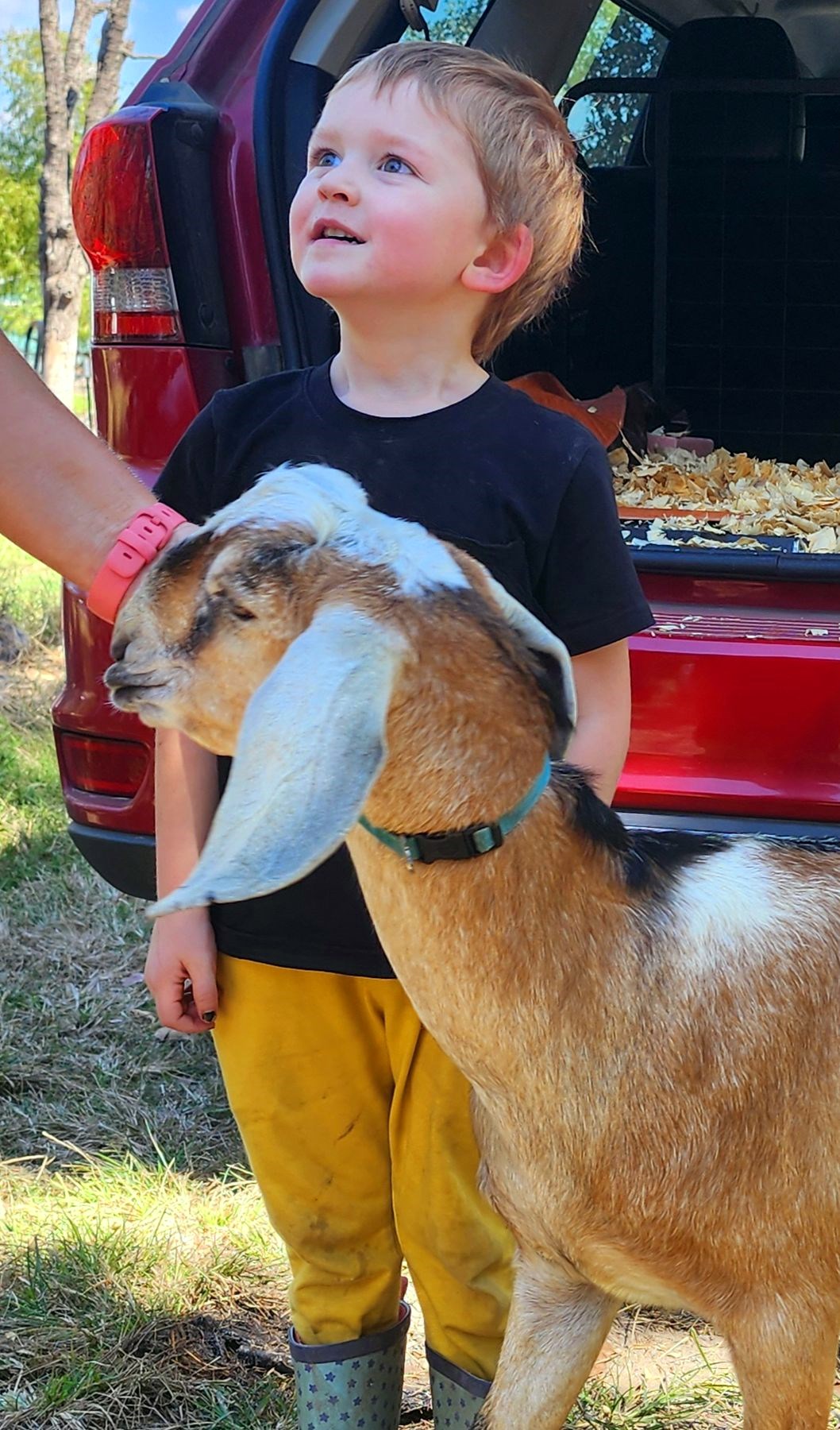 Nicholas Wayne Obituary - Canton, TX