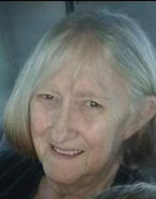 Susan Mizin Obituary - Akron, OH