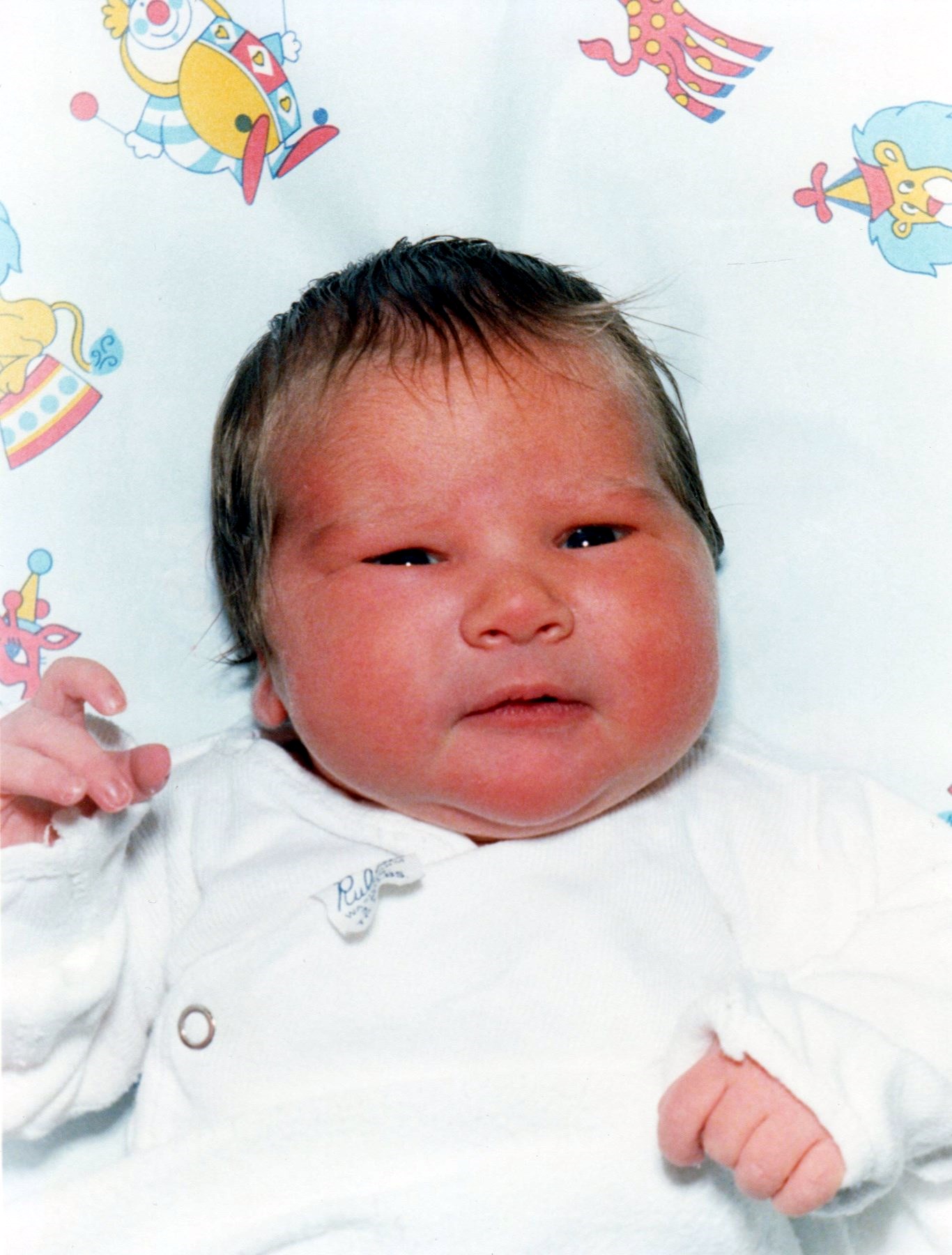 Sarah Nagy's Instagram, Twitter & Facebook on IDCrawl