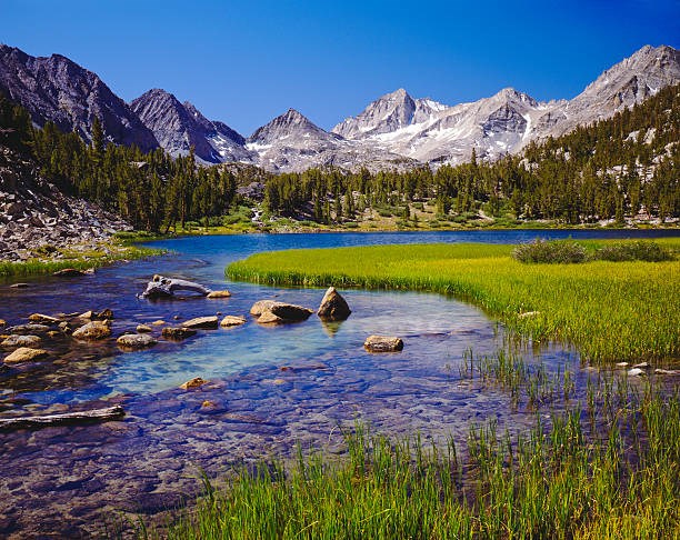 Glenna Peterman Obituary - Las Vegas, NV