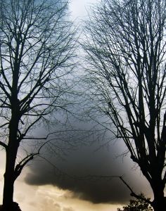 Robert Budd Obituary - Digby, NS