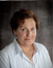 Rose Ann Schranz Obituary - Arlington Heights, IL