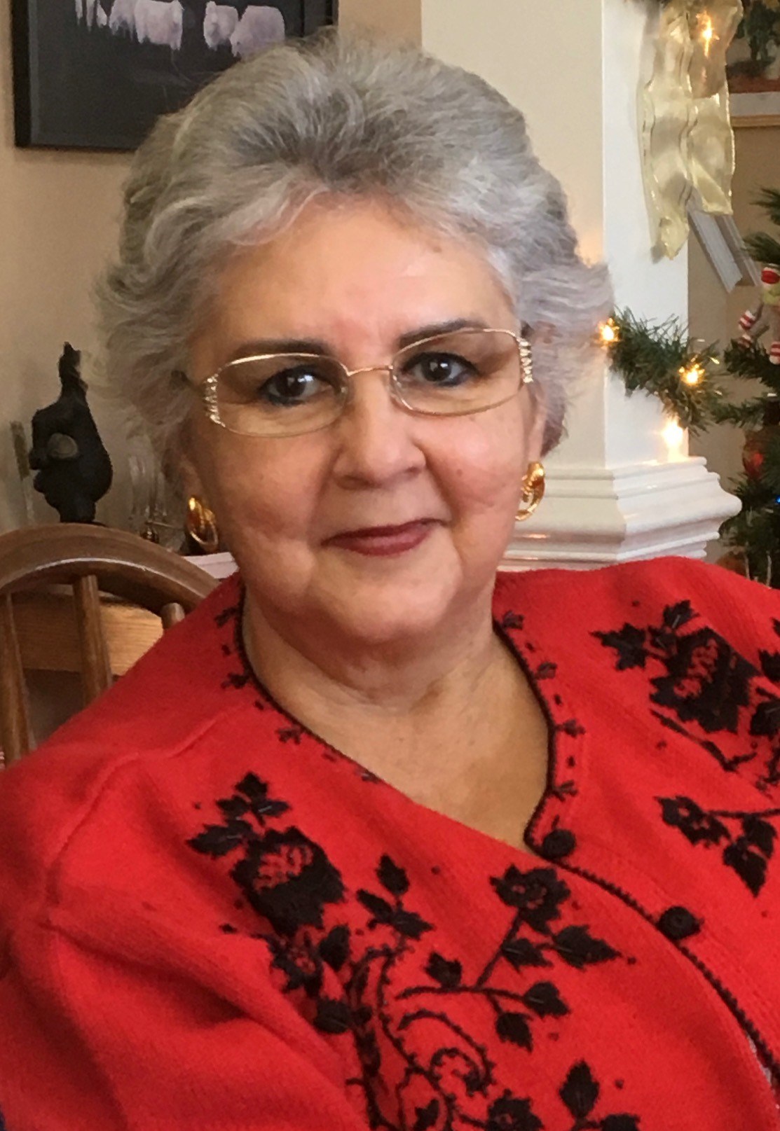 Anna Ruiz Obituary - Silver Spring, MD