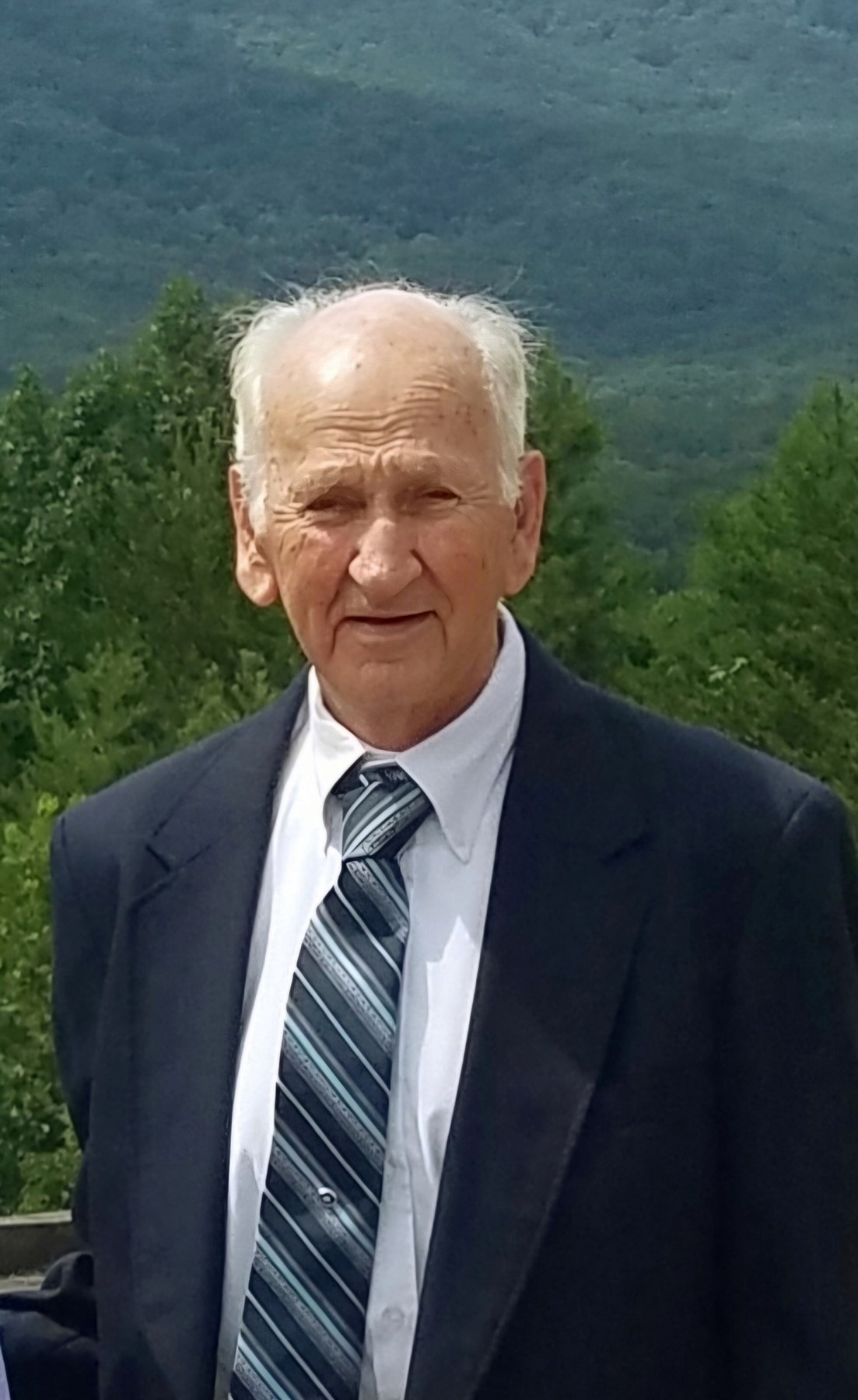 Merle Hendricks Obituary - Pickens, SC