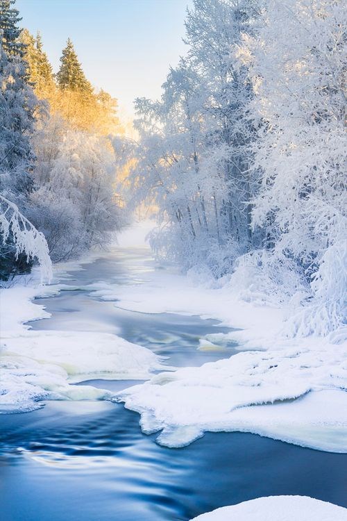 Camille Kumnick Obituary - Salem, OR