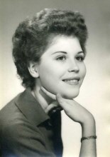 Keith Ann Fitzsimmons Obituary - Springfield, IL