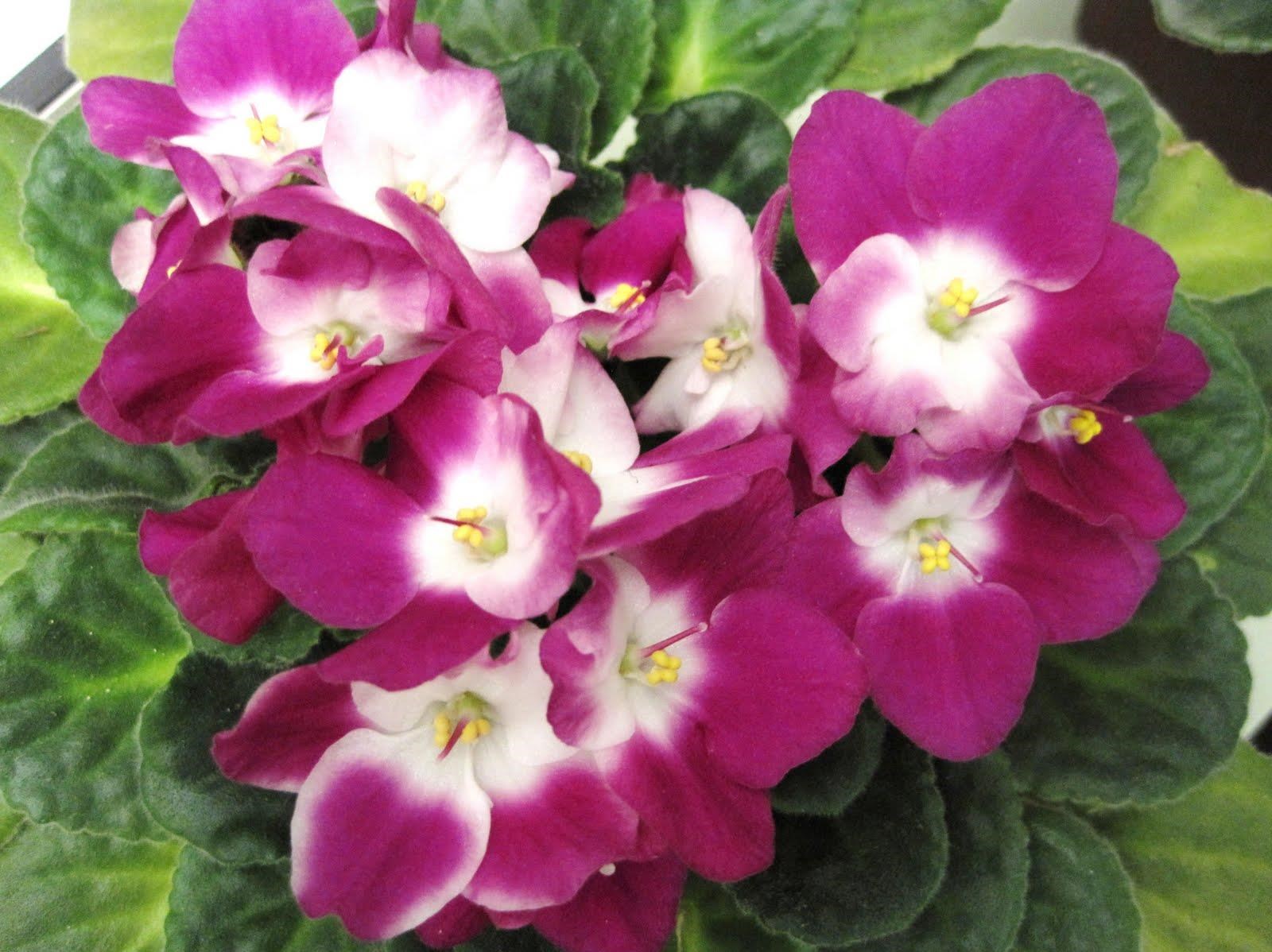 Marjorie E. Anderson Obituary - Stuart, FL