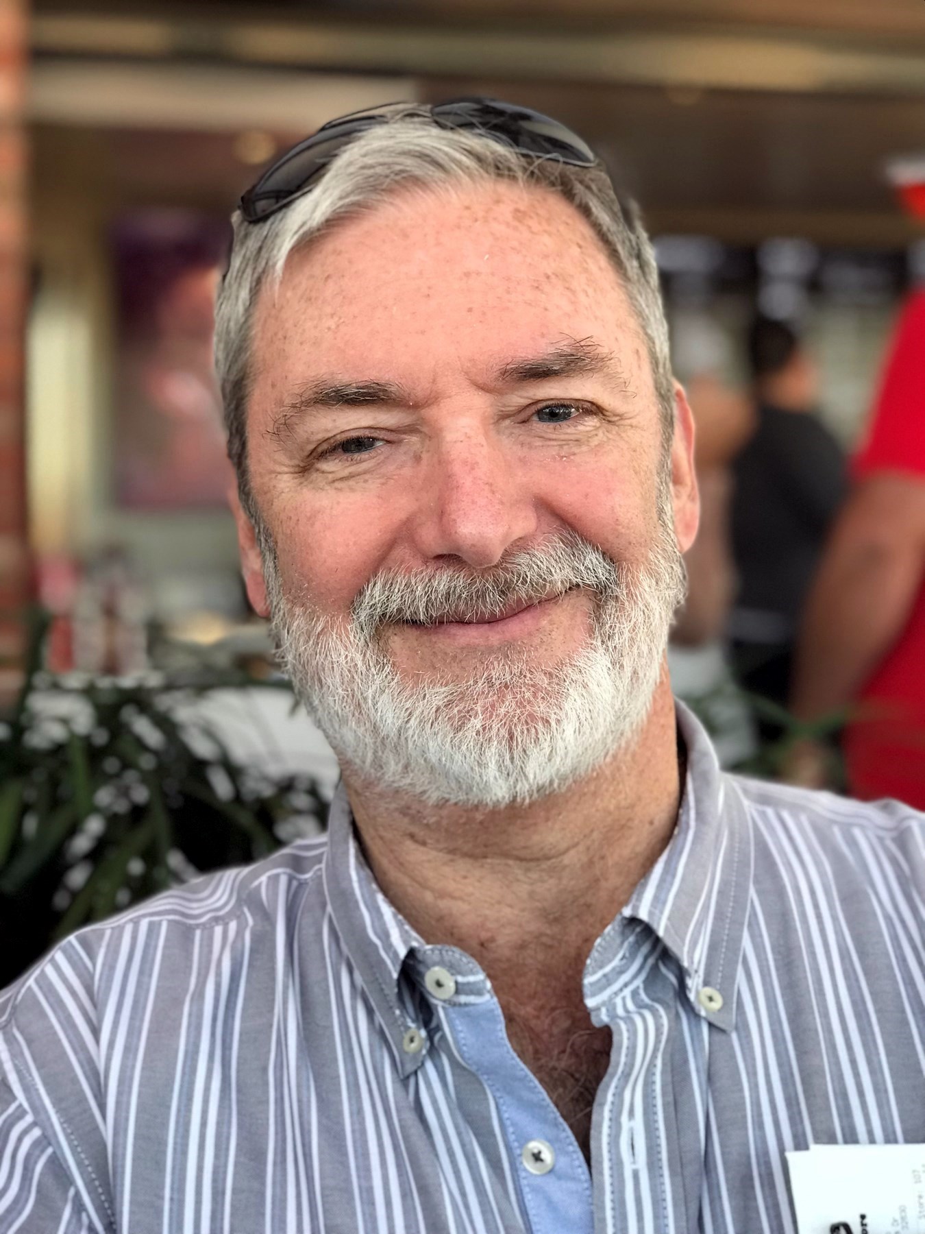 David Springer Obituary - Temple Terrace, FL