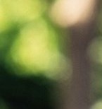 Sandra Decarie (Born Reeves) Obituario - Montreal, QC Sandra Decarie (Born Reeves) Obituario - Montreal, QC