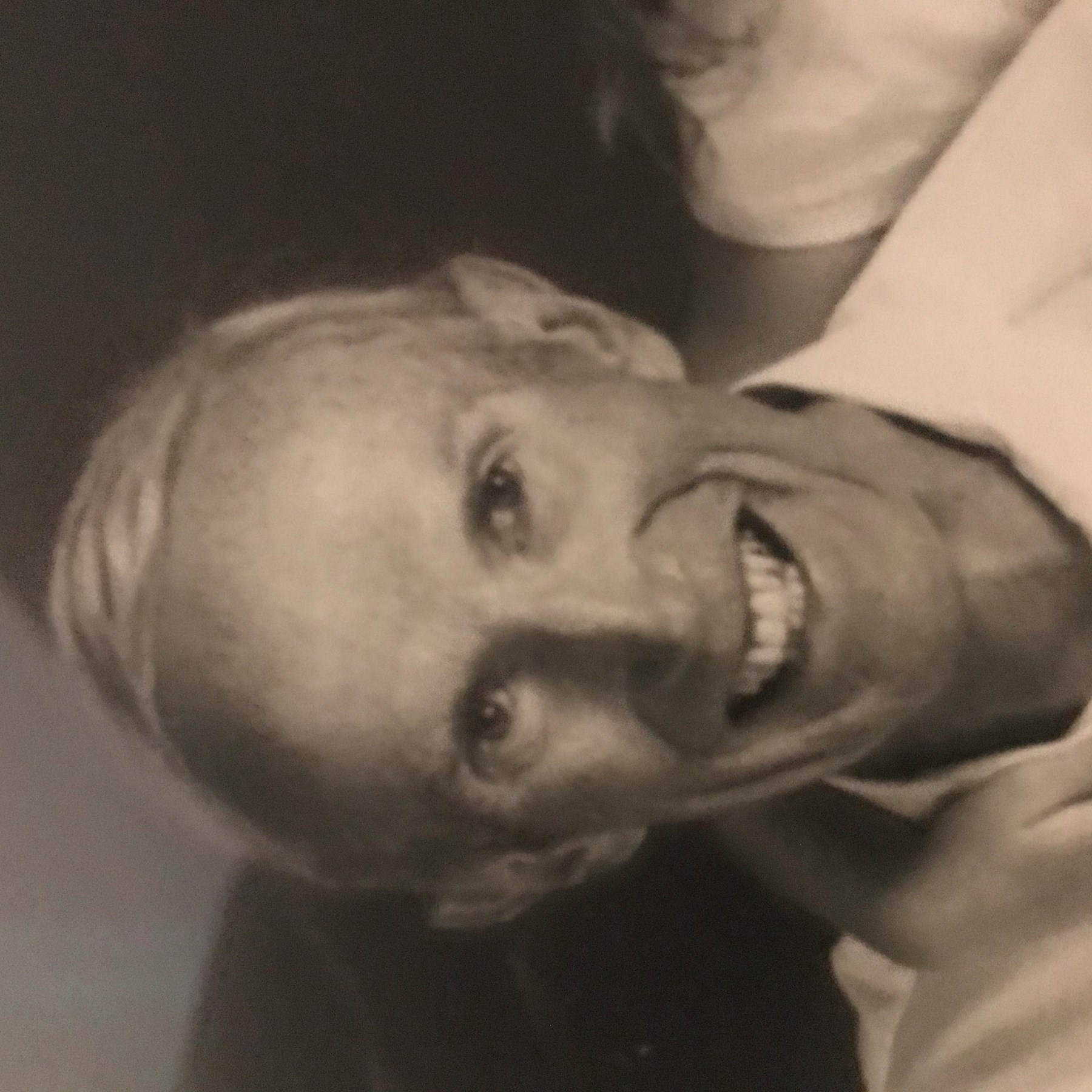 Donald Morrison Obituary - Toronto, ON