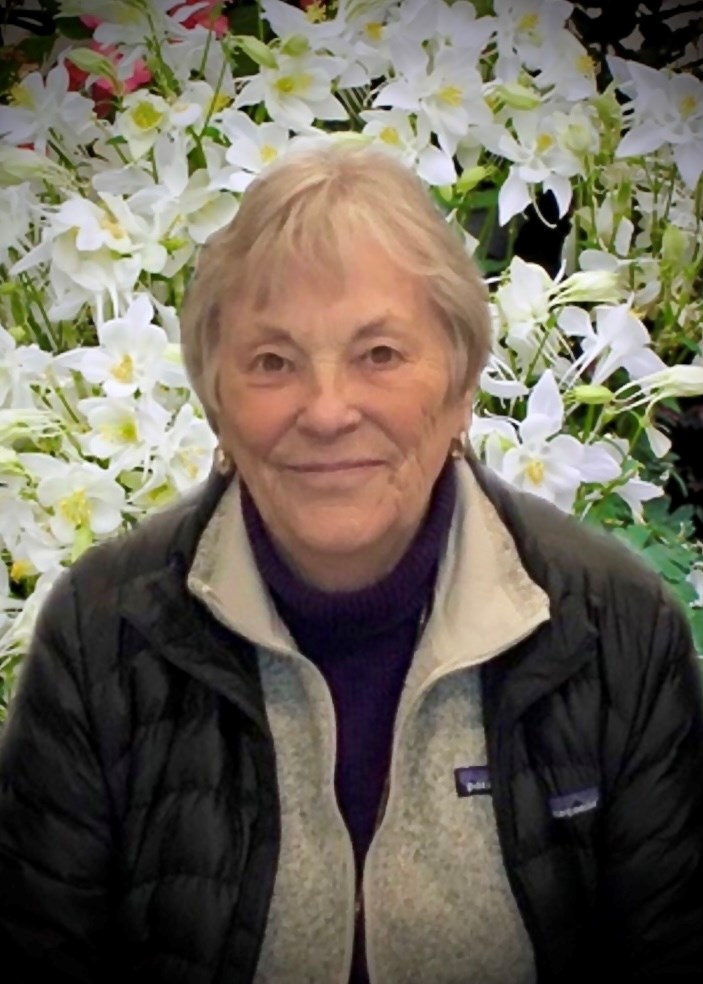 Sara Major Billings Obituary - Longmont, CO