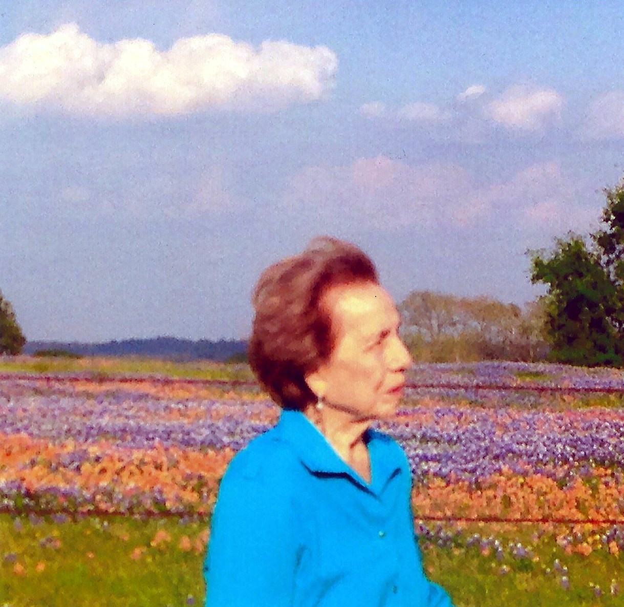 Rose Ramirez Obituary - Houston, TX