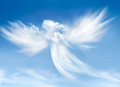 Frances Dolan Obituary - Plainview, NY