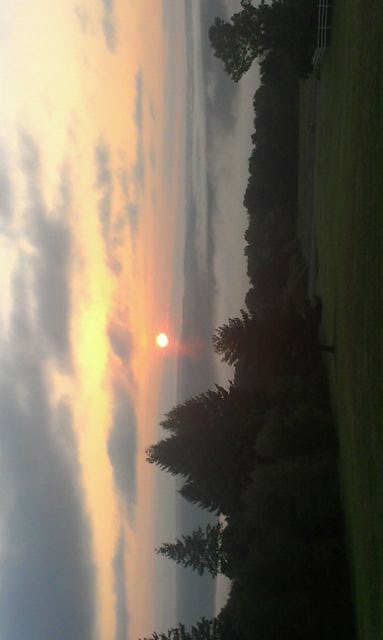 Barbara Faber Obituary - Prattsburgh, NY