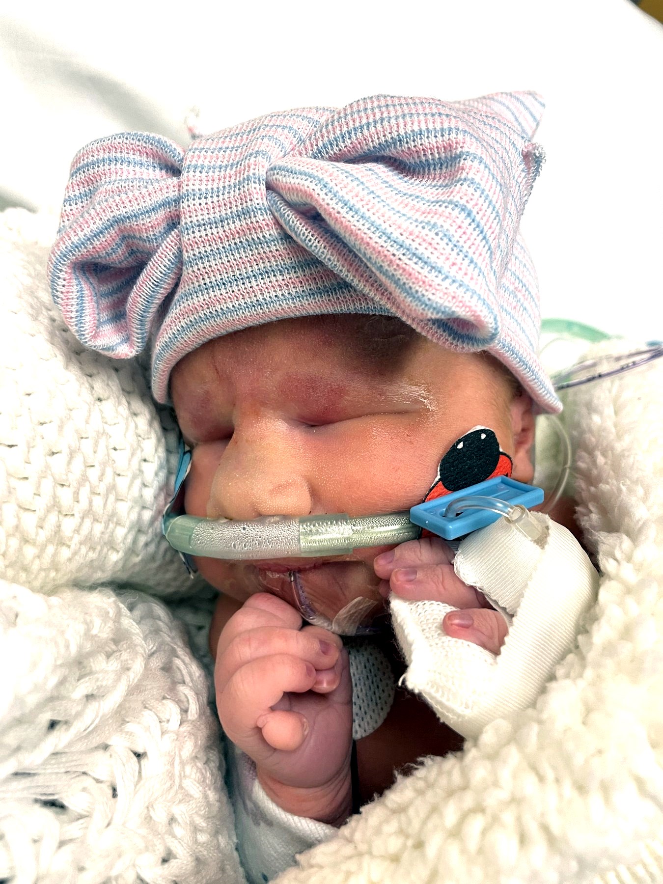 James Demasi's Instagram, Twitter & Facebook on IDCrawl