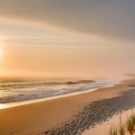 Raleigh, NC Obituaries | Find Raleigh Obituaries